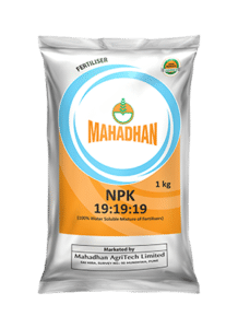 NPK 19 19 19 | 19 19 19 Fertilizer | Mono Ammonium Phosphate 19 19 19 ...